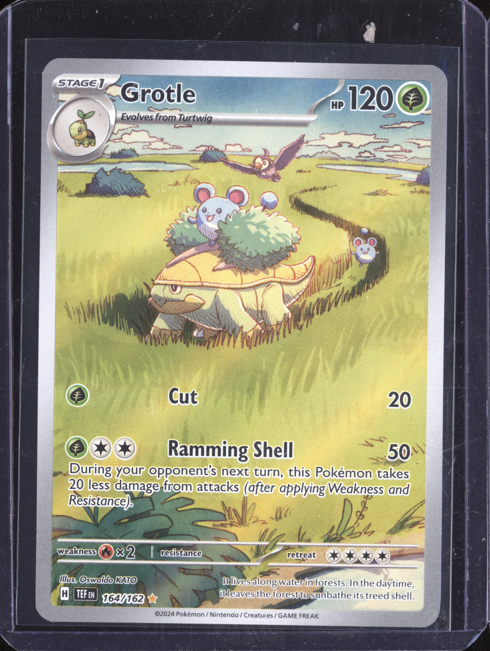 Grotle 2024 Pokemon Temporal Forces 164/162 Illustration Rare